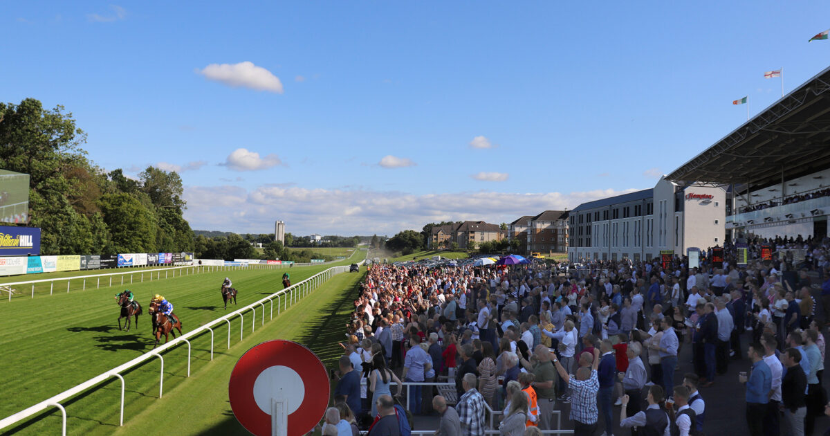 Hampton by Hilton Hamilton Park Racecourse | Ica